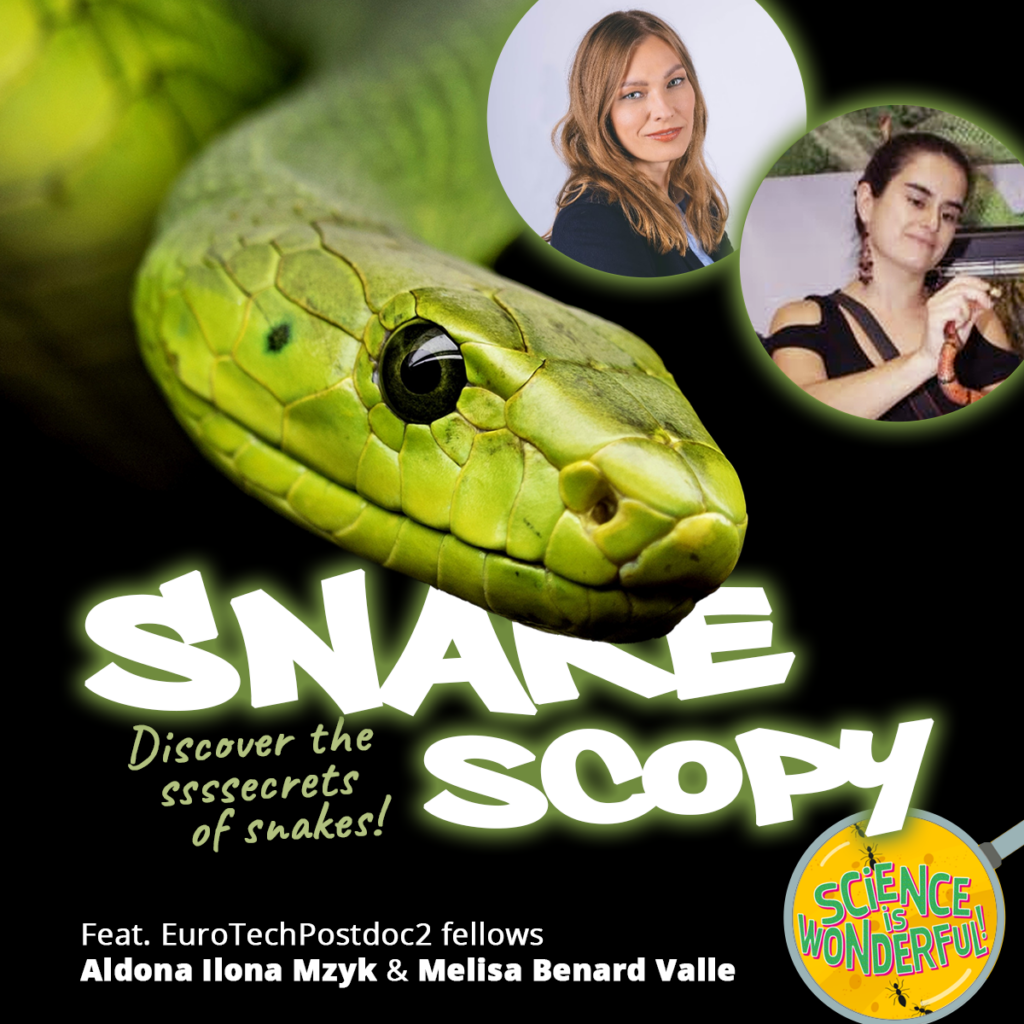 Snakescopy – discover ssssecrets of snakes - EuroTechPostdoc2